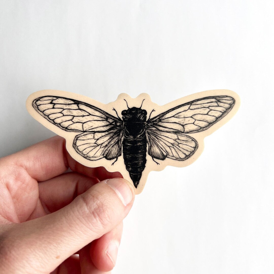 Vinyl Waterproof Cicada Sticker - Entomology Stickers - Cicada Insect ...
