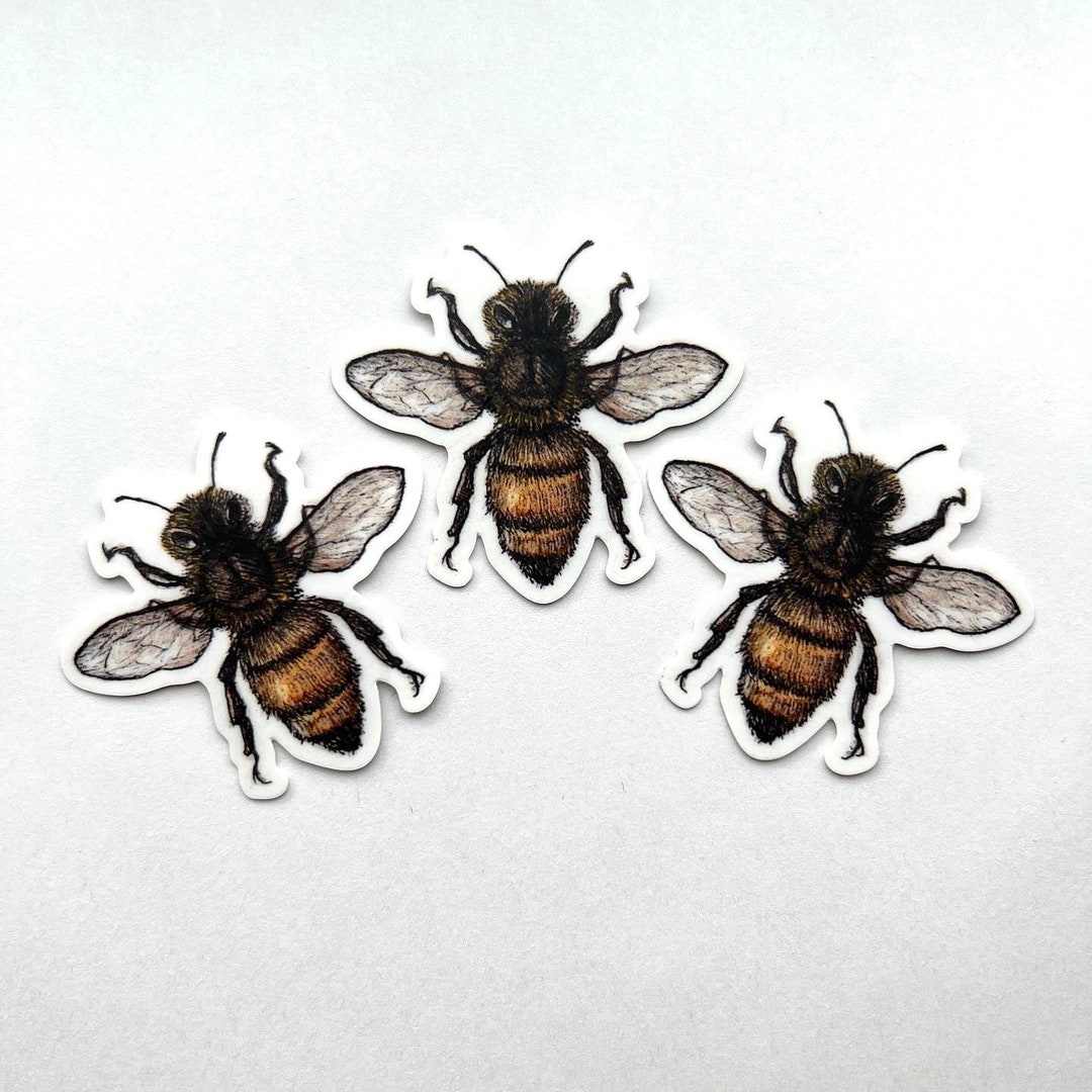 Honey Bee Sticker - Bee Sticker - Honey Bee Vinyl Sticker - Honey Bee ...