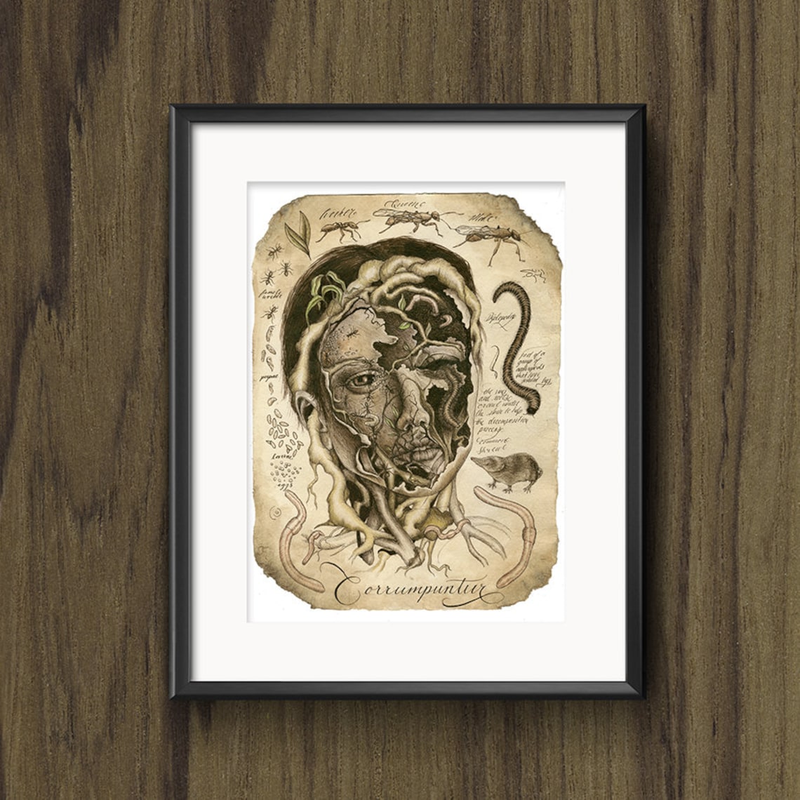 Decay Portrait Scientific Illustration Art - Nature Print - Digital ...