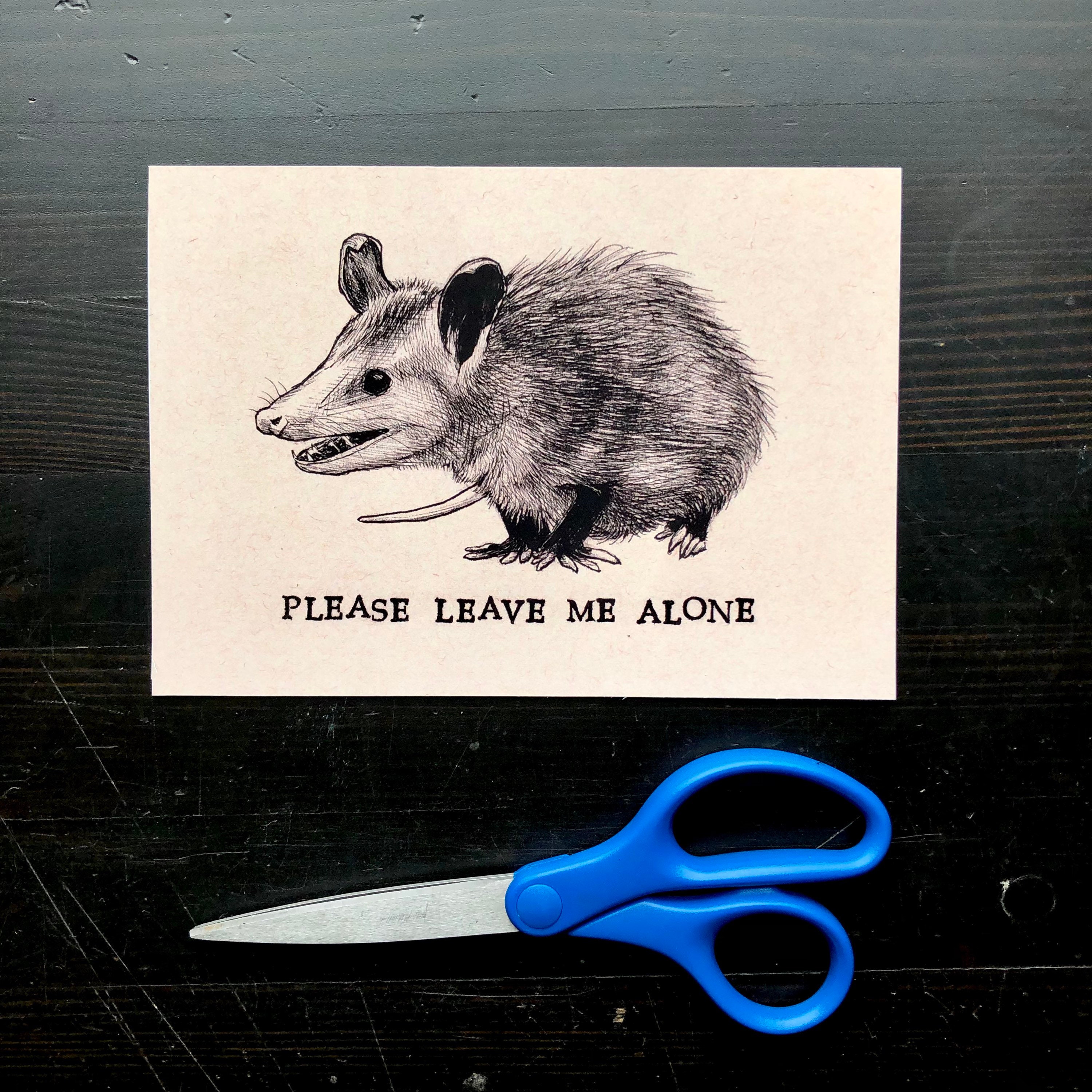 Possum 5in X 7in Print - Opossum Please Leave Me Alone Print - Possum ...