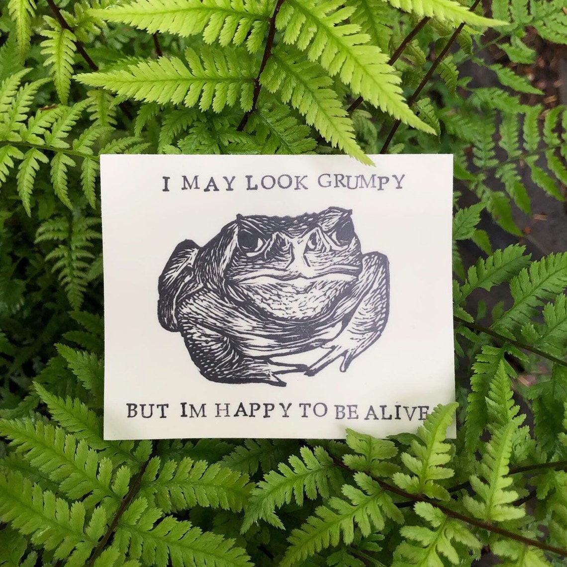 Toad Vinyl Sticker 4in X 3.25in Waterproof Sticker Vinyl - Etsy