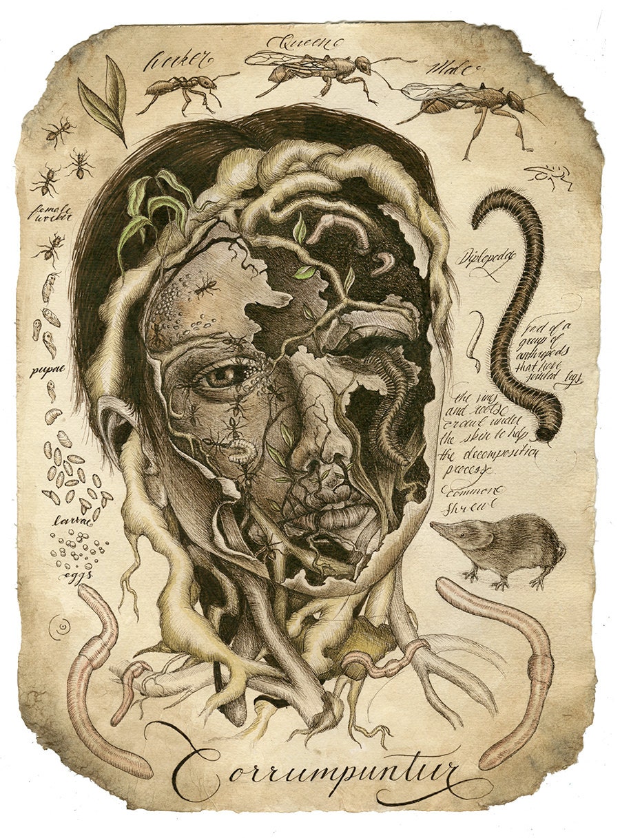 Decay Portrait Scientific Illustration Art - Nature Print - Digital ...