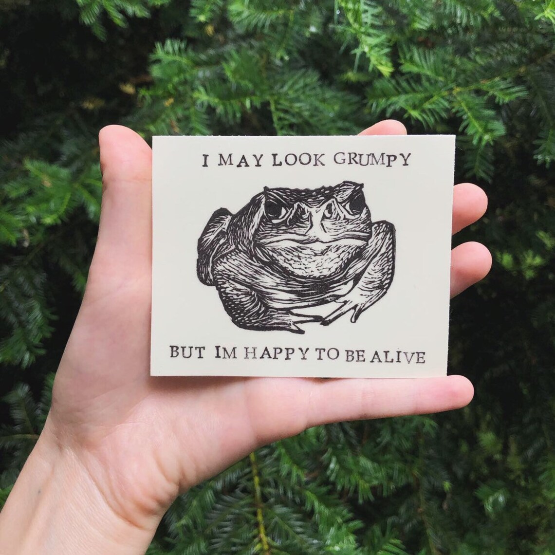 Toad Vinyl Sticker 4in X 3.25in Waterproof Sticker Vinyl - Etsy