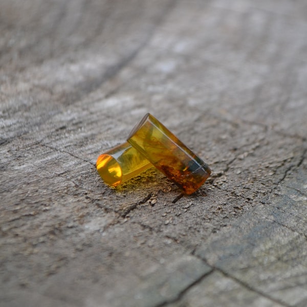 Amber Ear Plugs - Etsy