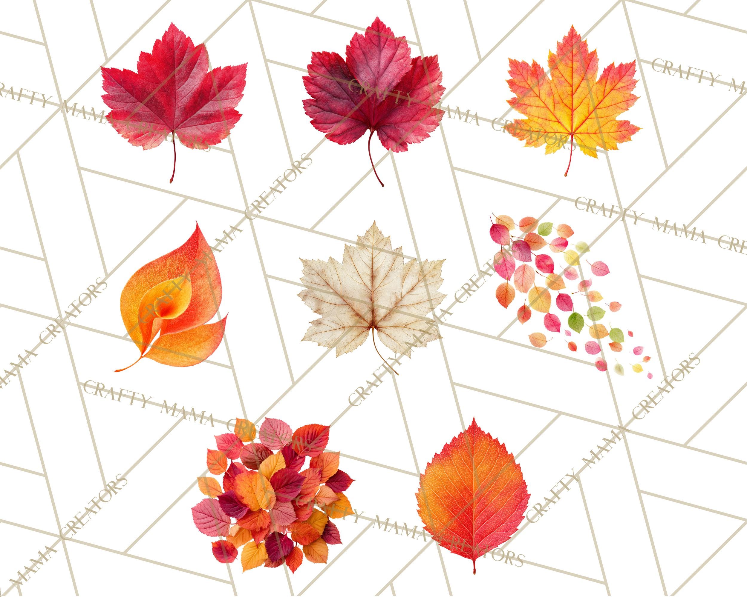 60 Png Fall Leaves Clipart, Autumn Leaf Clip Art, Maple Oak Leaves PNG ...