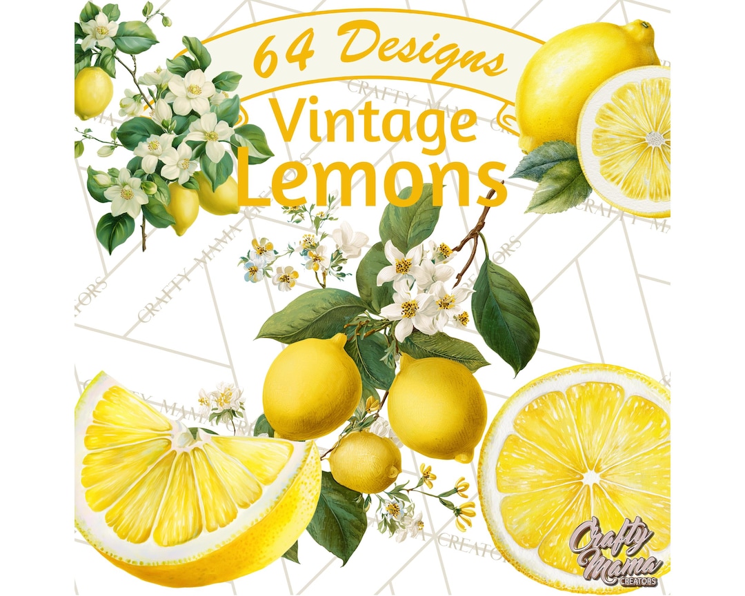 64 Png, Lemon Clipart, Vintage Lemon Botanical PNG, Citrus Fruit Clip ...