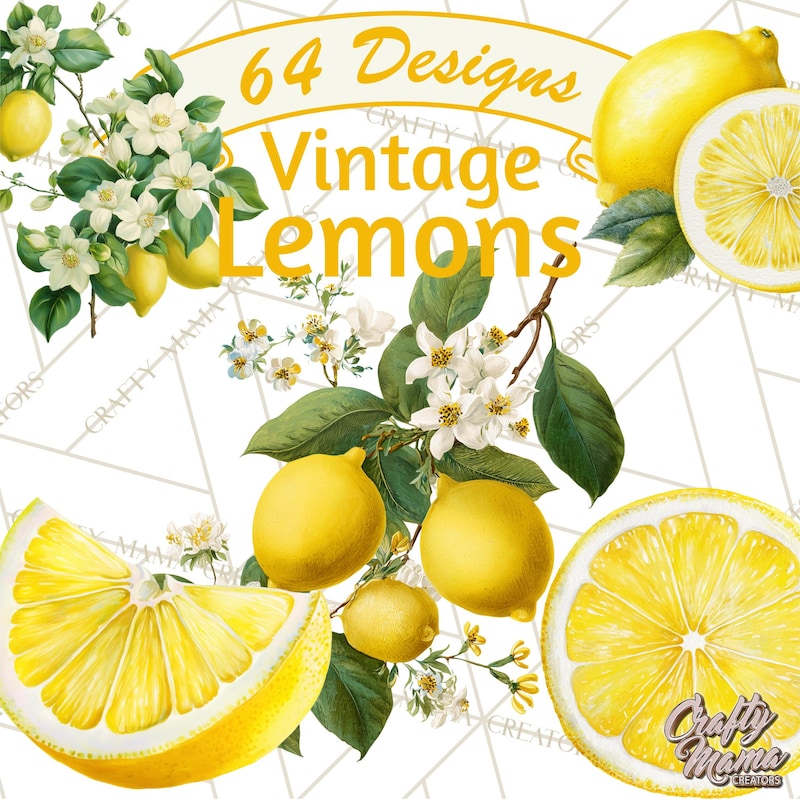 Vintage Lemon Clip Art - Etsy