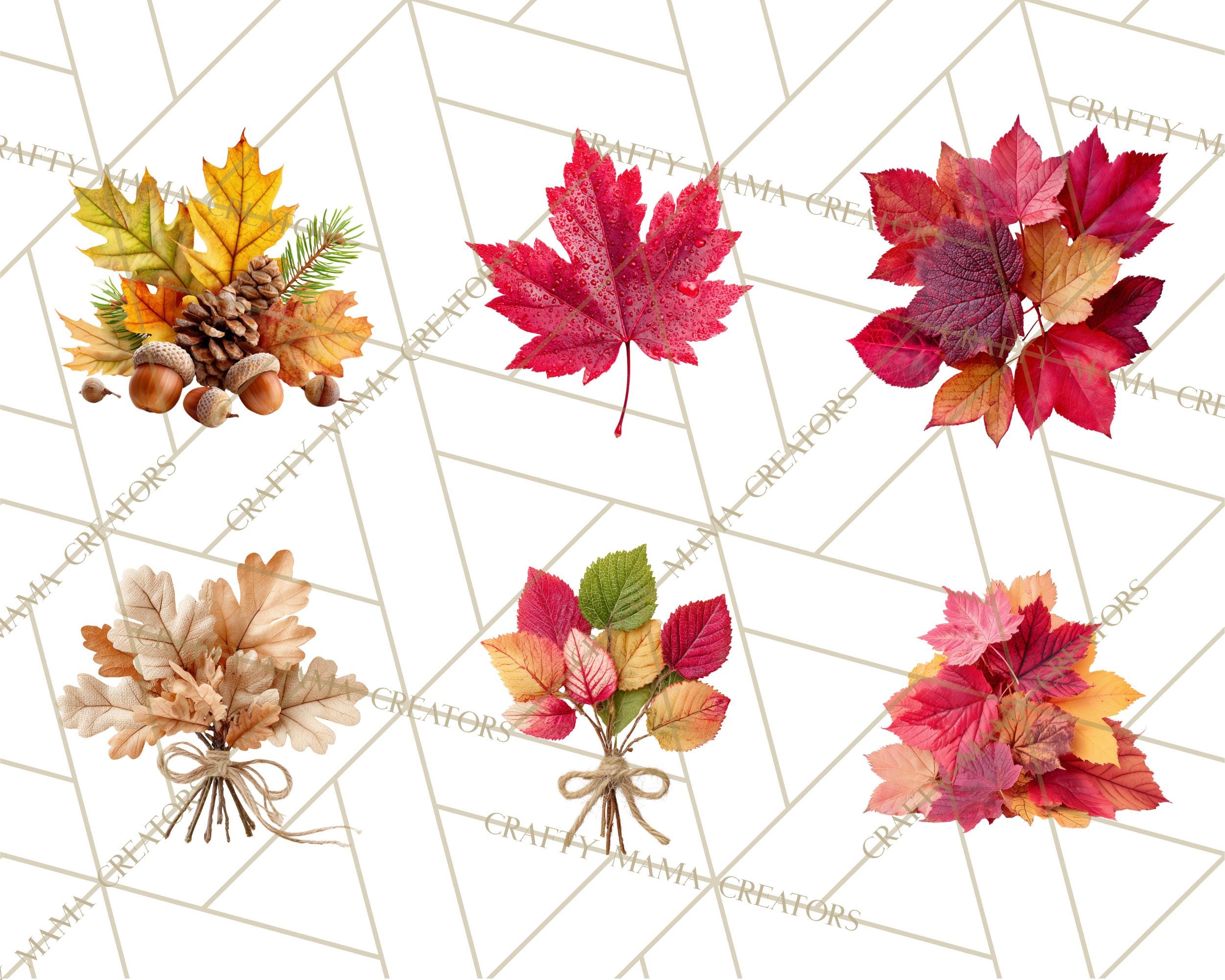 60 Png Fall Leaves Clipart, Autumn Leaf Clip Art, Maple Oak Leaves PNG ...