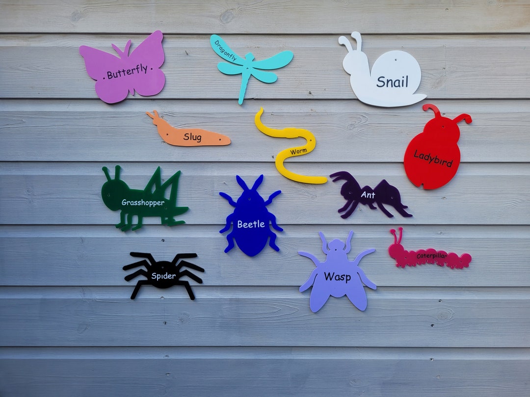 Set of Acrylic Bugs, Sensory Wall, Bug Finder Game, Shatterproof ...