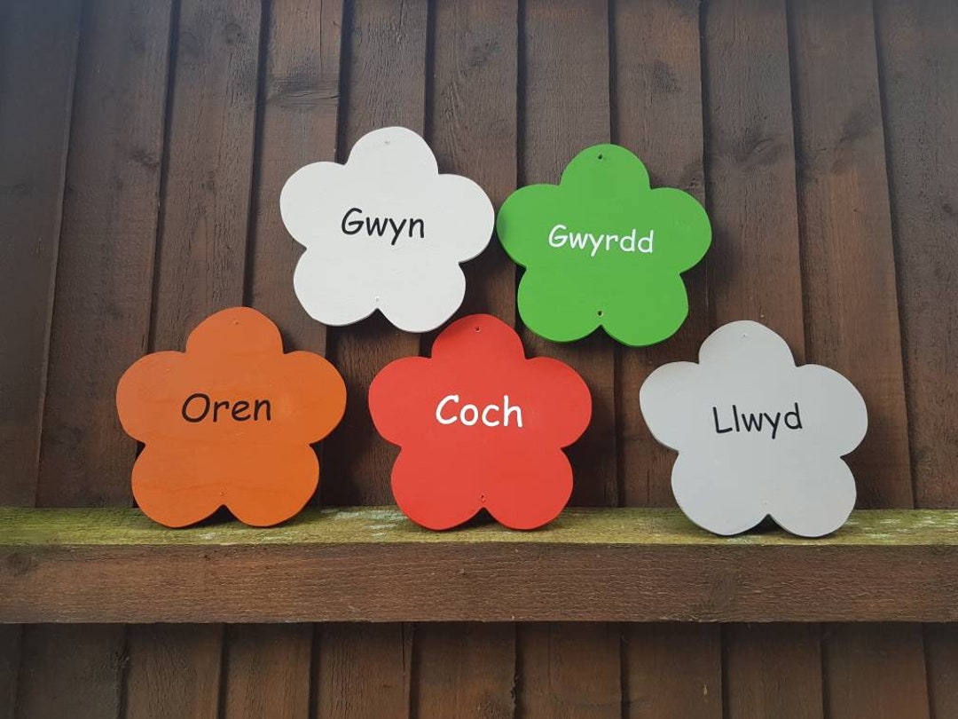 Set of 10 Colour Flowers, Welsh, Rainbow, Learning Resources, Outdoor ...