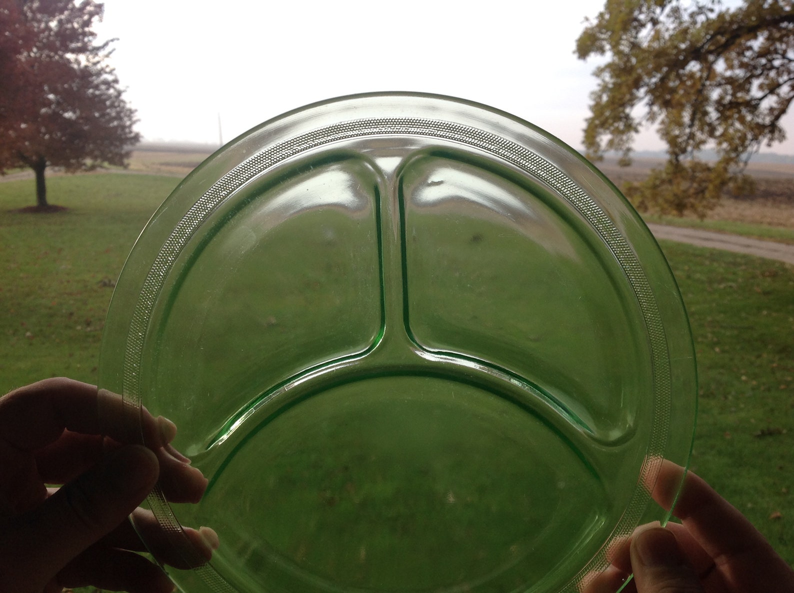 1 Green Depression Divided Plate Green Grill Plate Depression - Etsy
