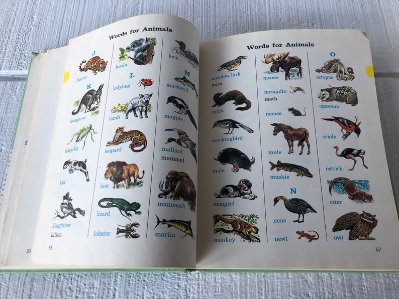 1964 My Second Pictionary Vintage Illustrated Mid Century Dictionary ...