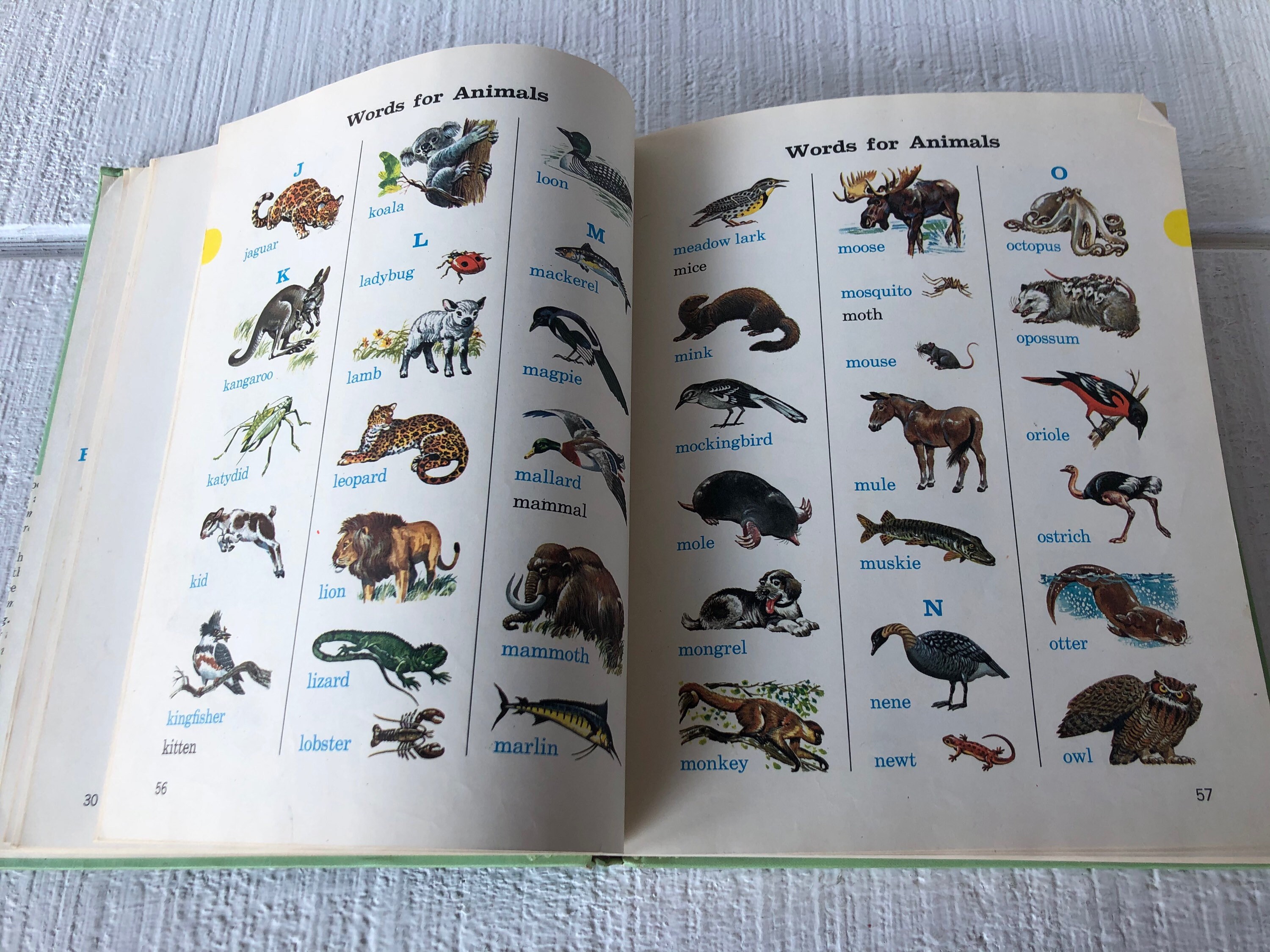 1964 My Second Pictionary Vintage Illustrated Mid Century Dictionary ...