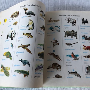 1964 My Second Pictionary Vintage Illustrated Mid Century Dictionary ...