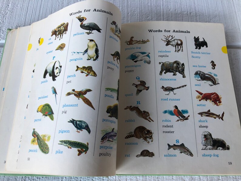 1964 My Second Pictionary Vintage Illustrated Mid Century Dictionary ...