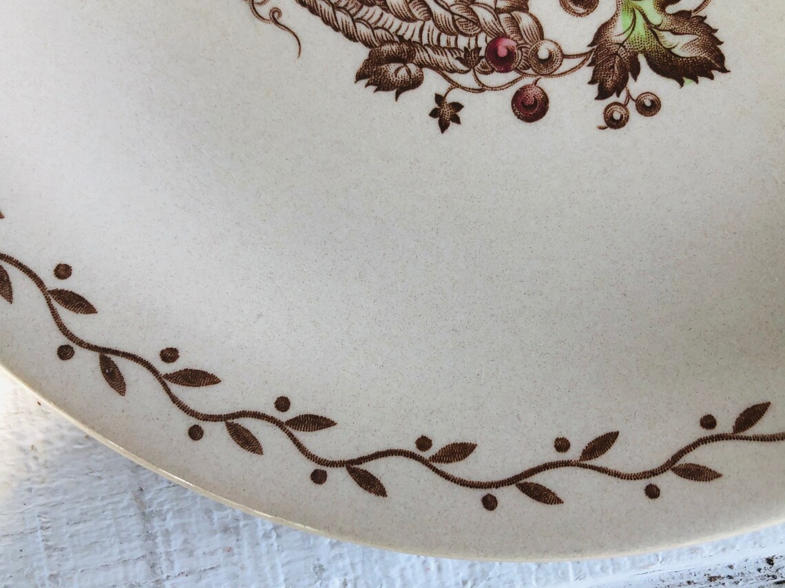 Vintage Ironstone Plates Johnson Brothers China 1970's Salem Brown ...