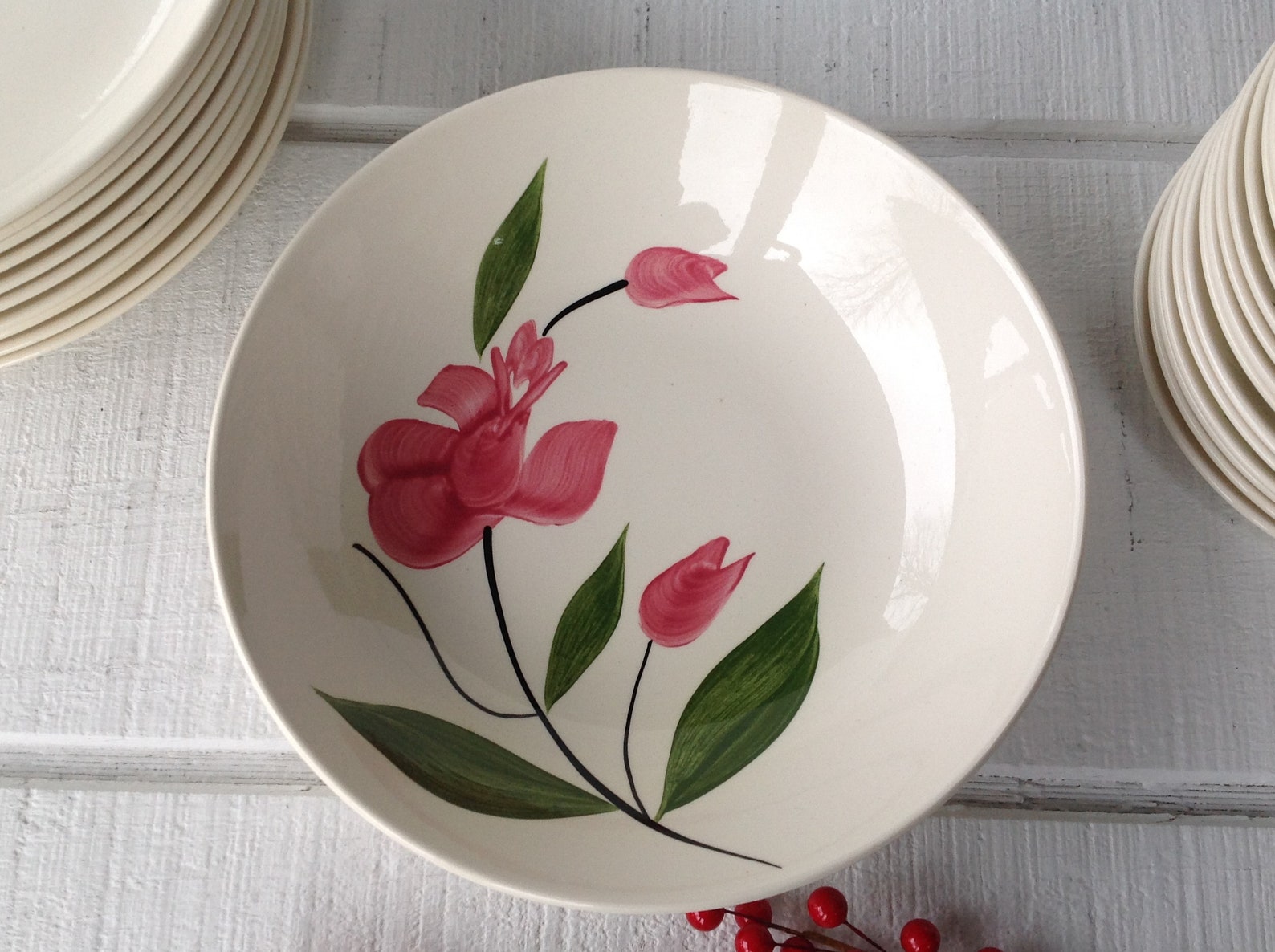 Vintage 1950s Handpainted Floral China Stetson Dinnerware - Etsy