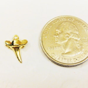 Shiny Gold Small Shark Tooth Pendant - Small Vermeil Gold Shark Tooth ...