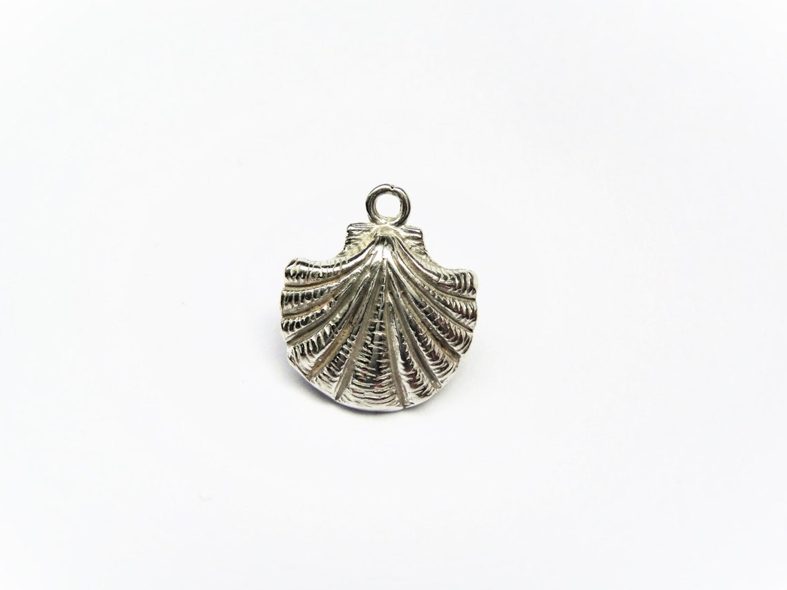 925 Sterling Silver Sea Shell, Silver Sea Shell, Sea Life, Sea Shell ...