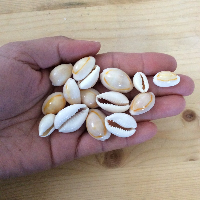 Bohemian Shell - Etsy