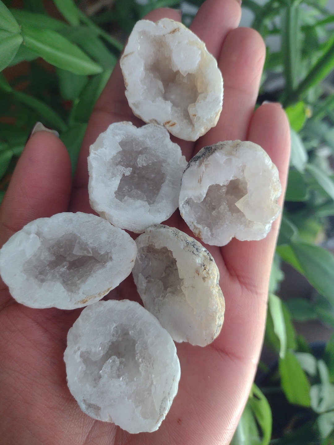 Quartz Geode, Geode Stone, Half Geode, Crystal Geode, Sliced Geode, Opened Geode - Etsy