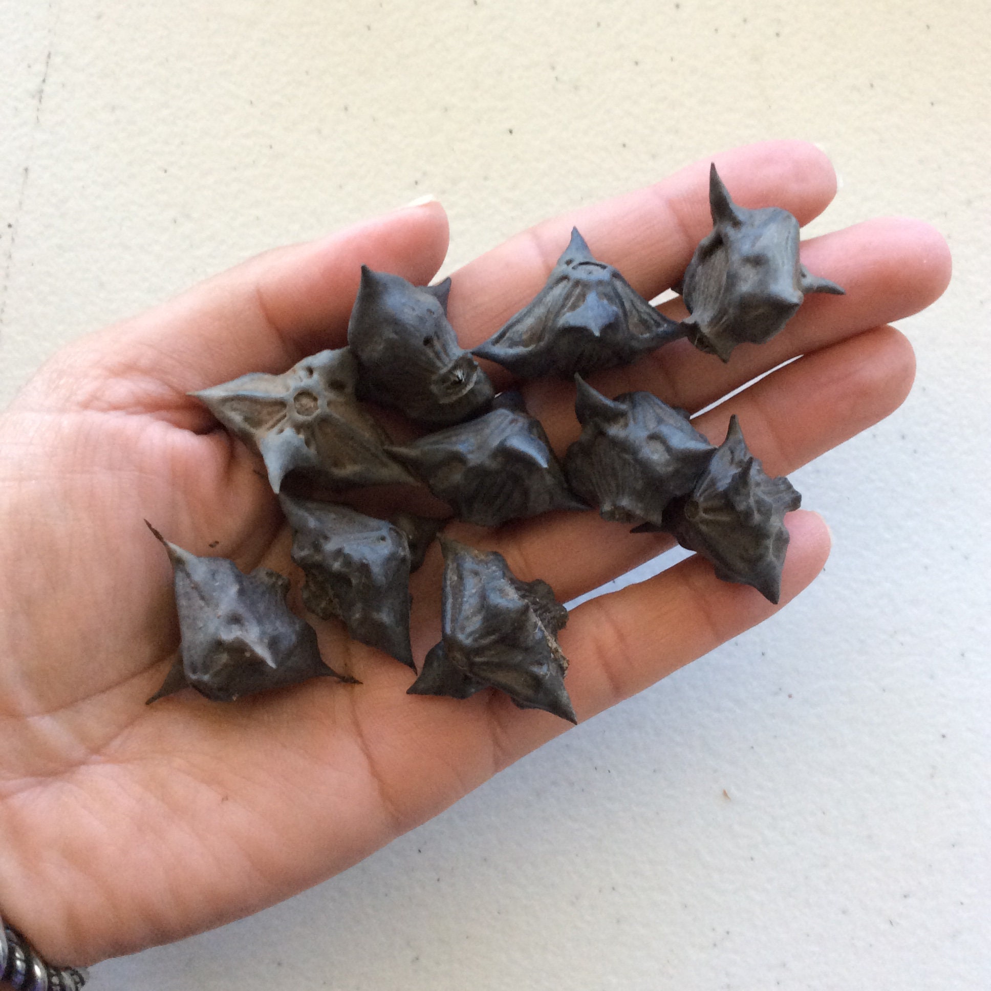 3X Gargoyle Nut, Bat Nut, Devil Nut, Lucky Talisman, Home Protection ...