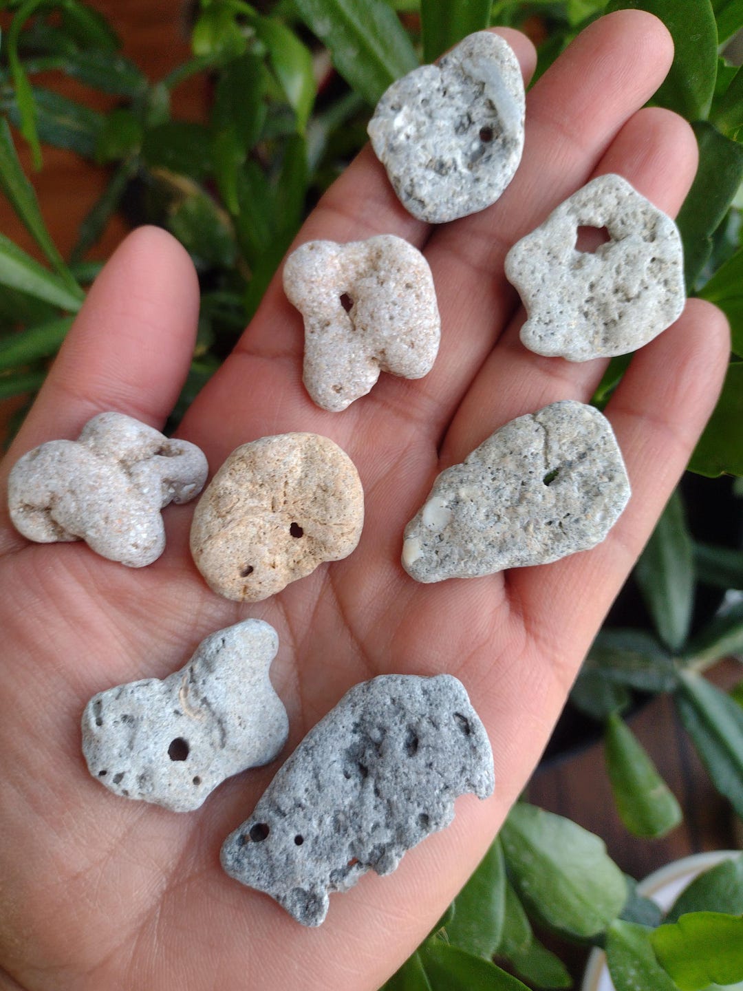 1"-1.25" Hag Stone, Odin Stone, Holey Stone, Water Element Stone, See ...