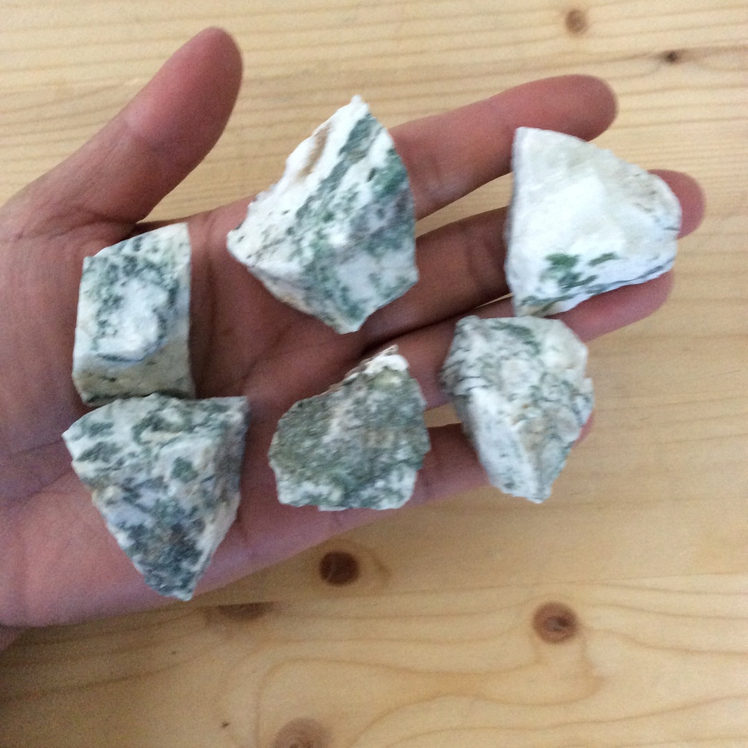 Rough Tree Agate Agate ~ Natural Tree Agate, Raw Tree Agate Stone - Etsy