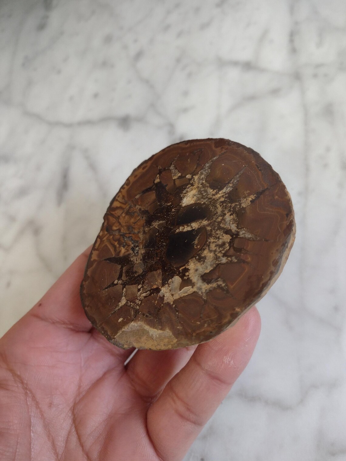 Septarian Nodule, Septarian Slice, Septarian Stone, Septarian Dragon ...