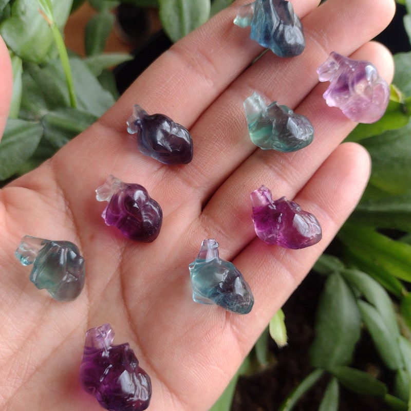 Anatomical Heart - Etsy