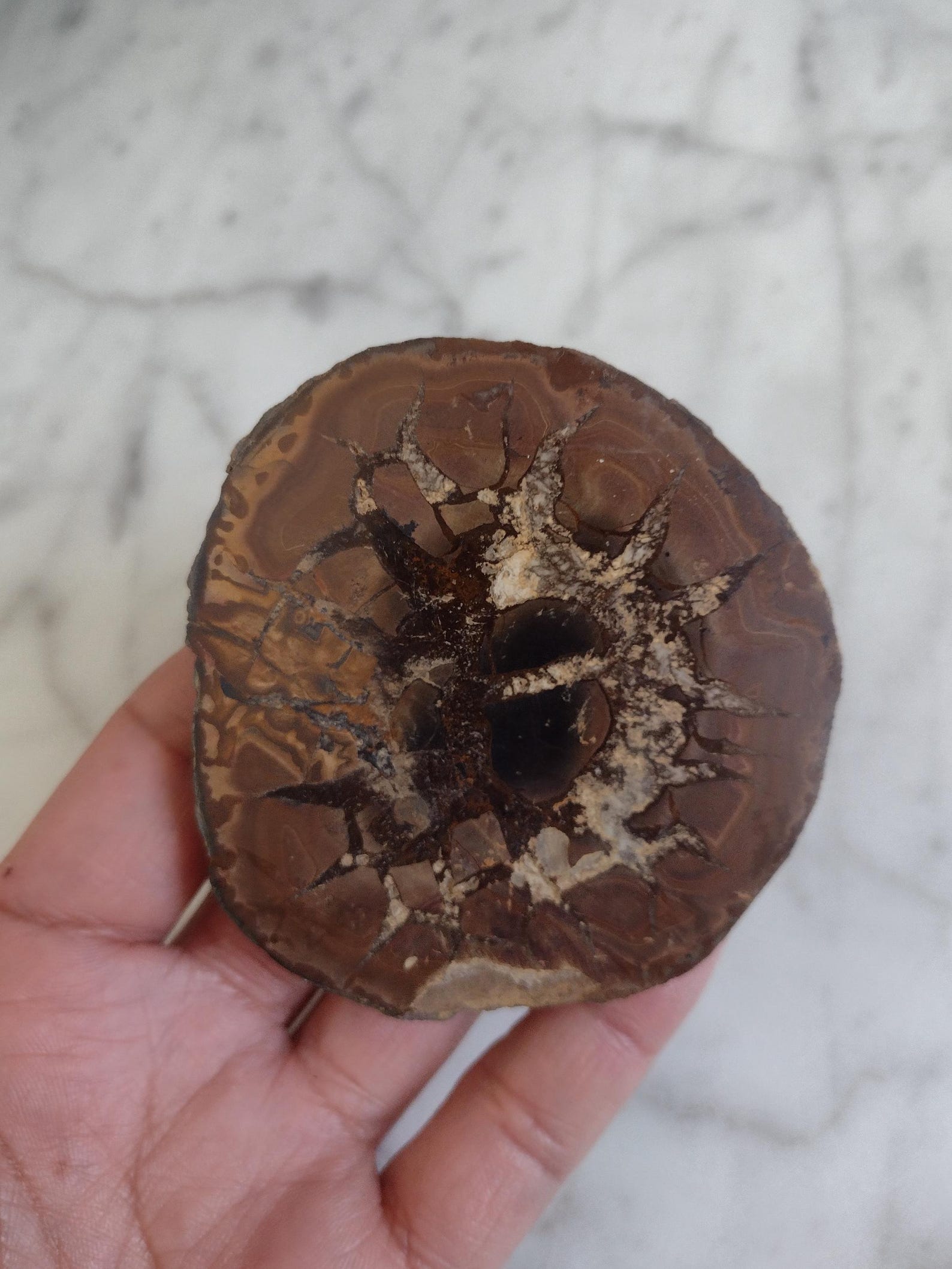 Septarian Nodule, Septarian Slice, Septarian Stone, Septarian Dragon ...