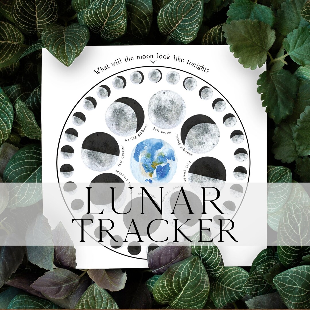 Lunar Moon Tracker for Children, Toddler Visual Schedule, Montessori ...