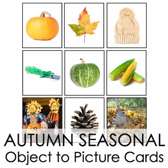 Autumn Montessori Materials Matching Game Cards Montessori | Etsy