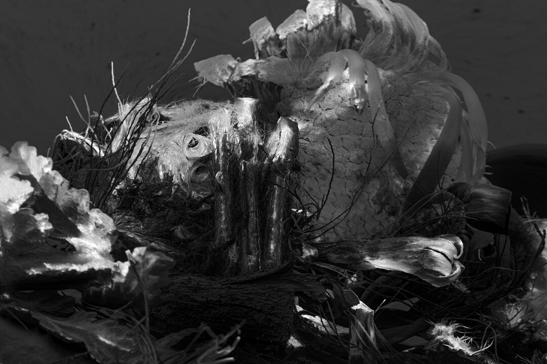 Art Print: Electron Microscope Landscape Made of Insects & Plants ...