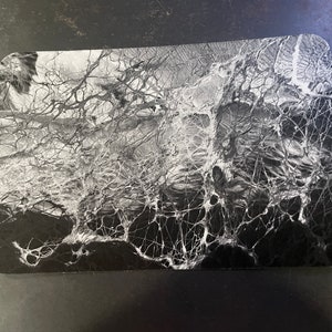 Spiderweb Under the Electron Microscope, Spiderweb Covering a Roly Poly ...