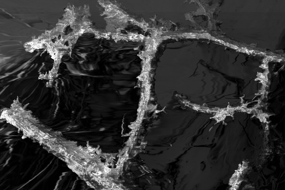 Electron Microscopy Distorted Art Print Hydrangea 'skeleton' (biology ...