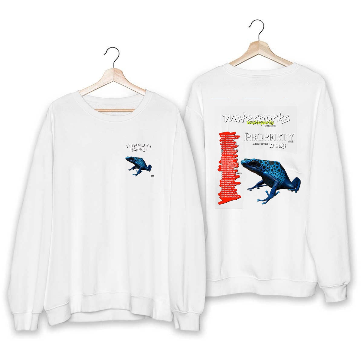WaterParks Band Shirt, Waterparks Intellectual Property Tour Shirt sold ...