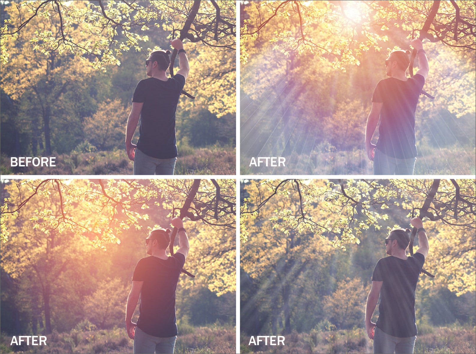 Light Photoshop Overlays 101 Sunlight Overlays, Photo Overlays Sunlight ...