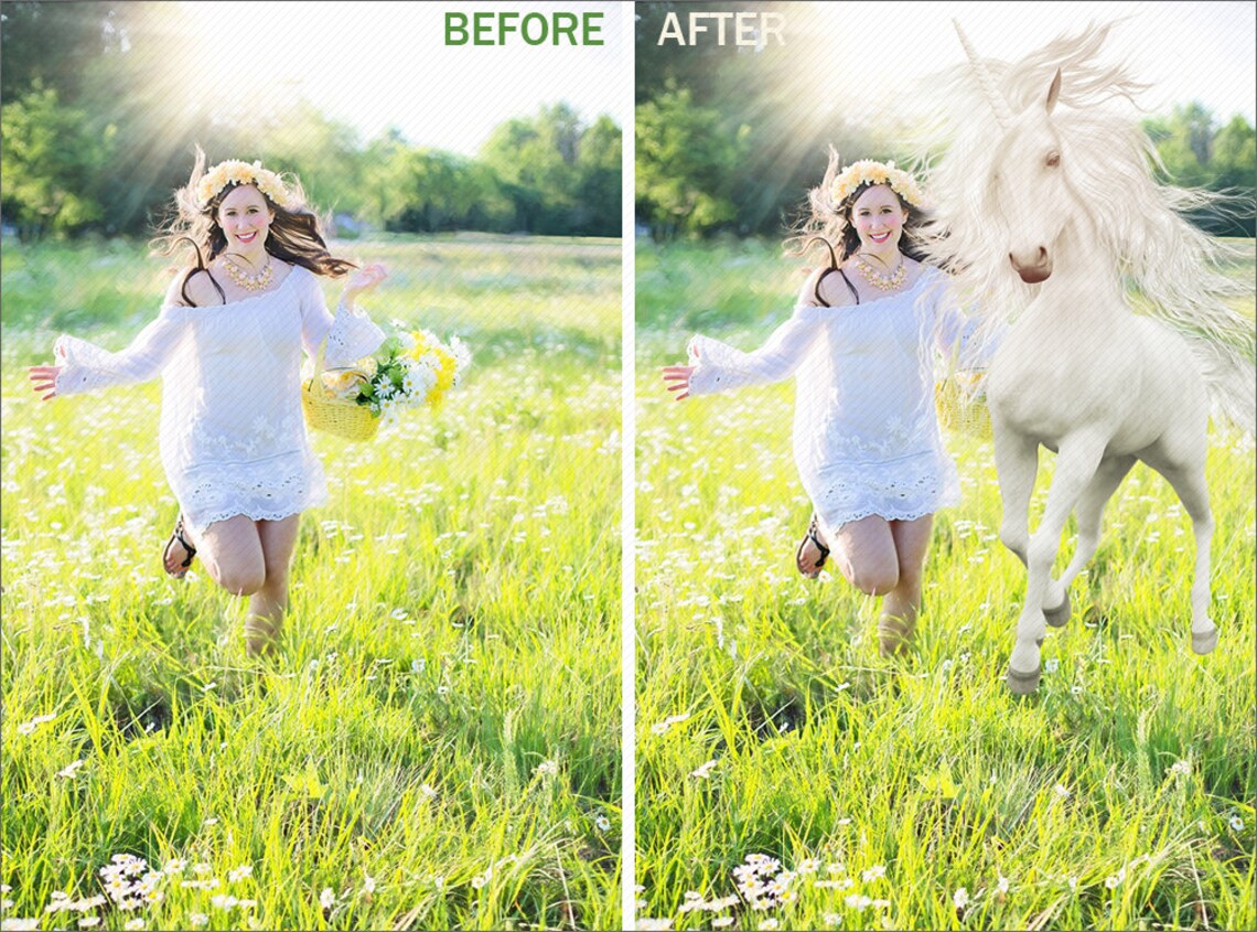 Unicorn Horse Overlays 25 Png Overlays for Photoshop. White Unicorns ...