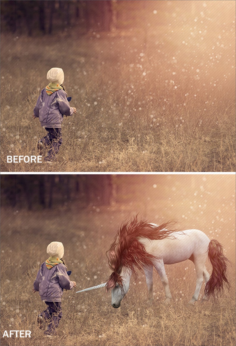 Unicorn Horse Overlays 25 Png Overlays for Photoshop. White Unicorns ...
