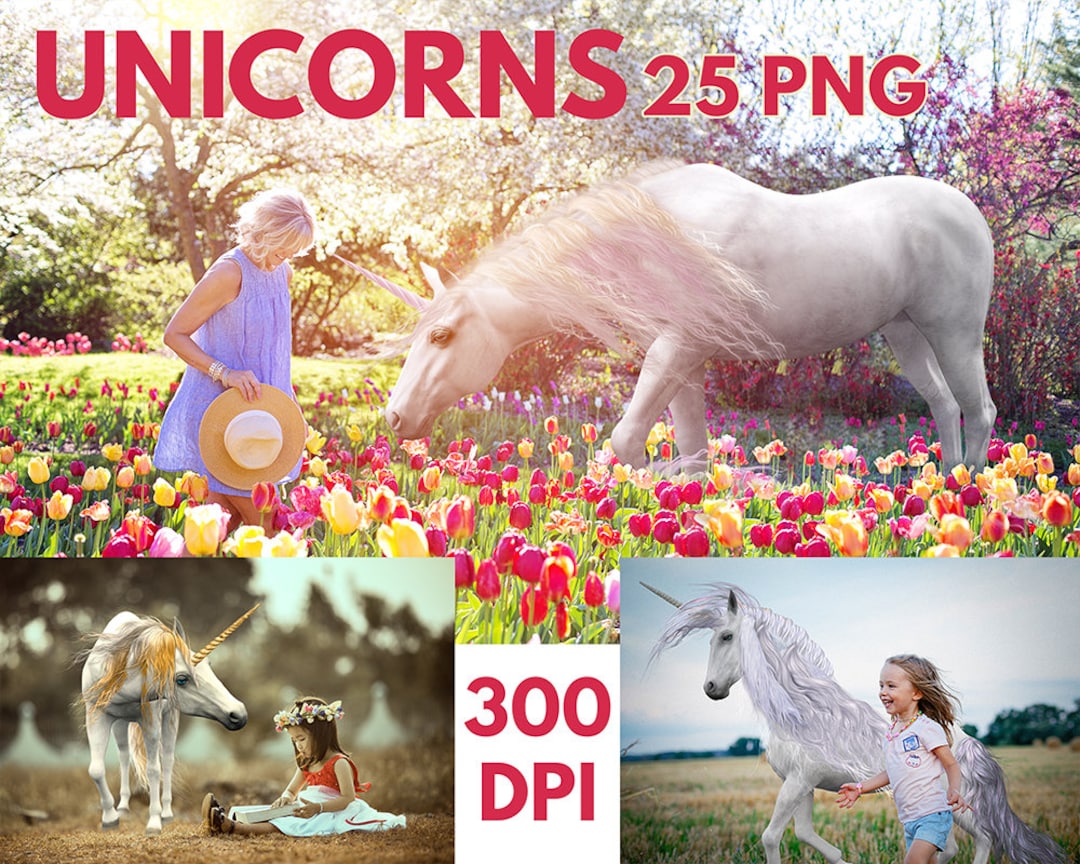 Unicorn Horse Overlays 25 Png Overlays for Photoshop. White Unicorns ...