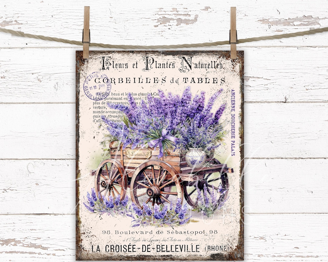 Lavender Cart French Country Print: Farmhouse Herbal Decor (digital PNG ...