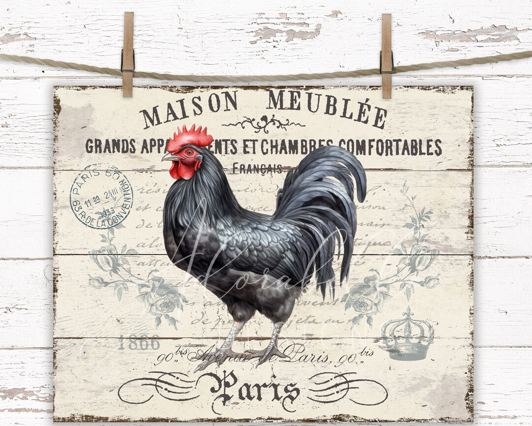 French Rooster Print: Farmhouse Kitchen Bird Art (digital Download) - Etsy