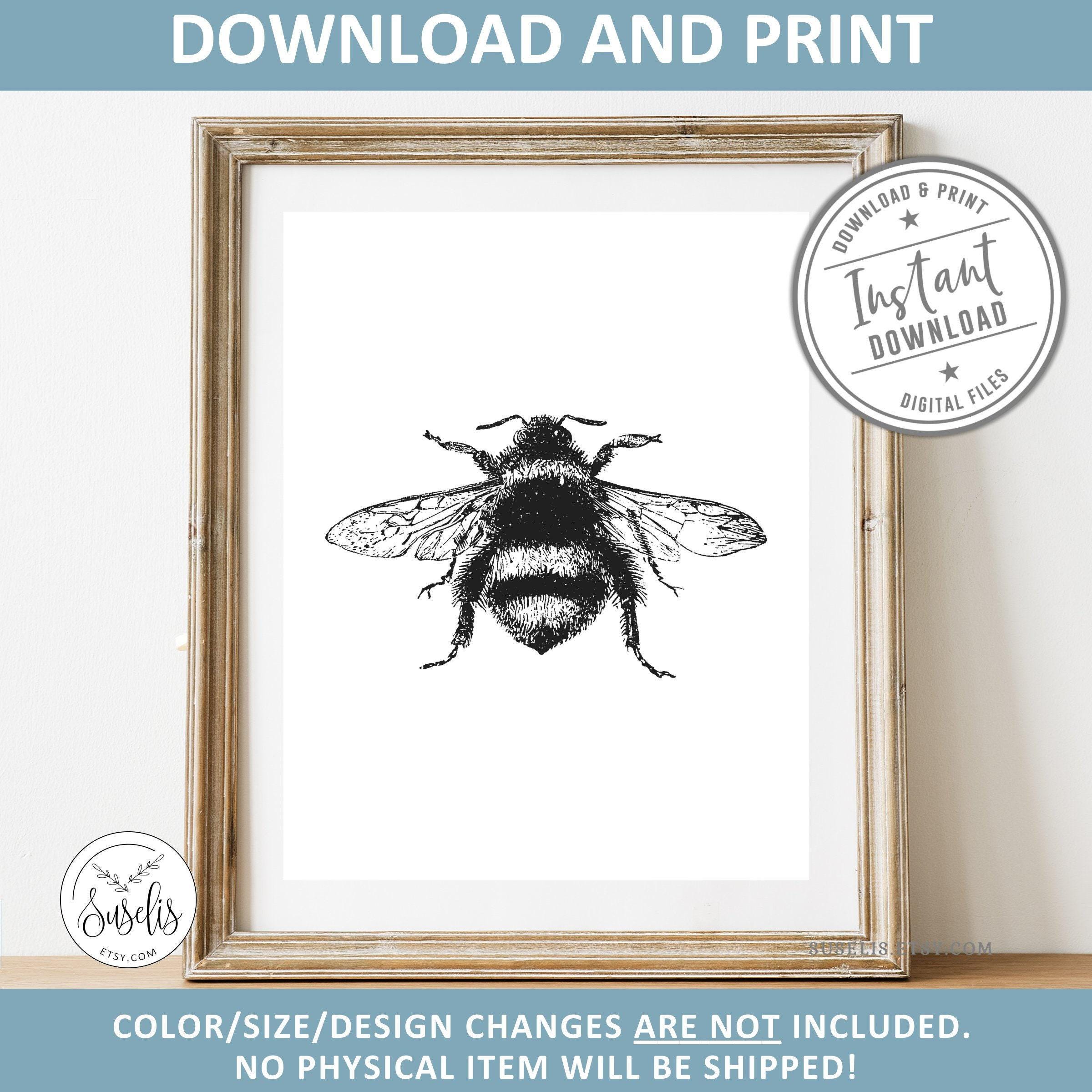 Printable Bumble Bee Print, Black and White, Bumblebee Art, Vintage ...