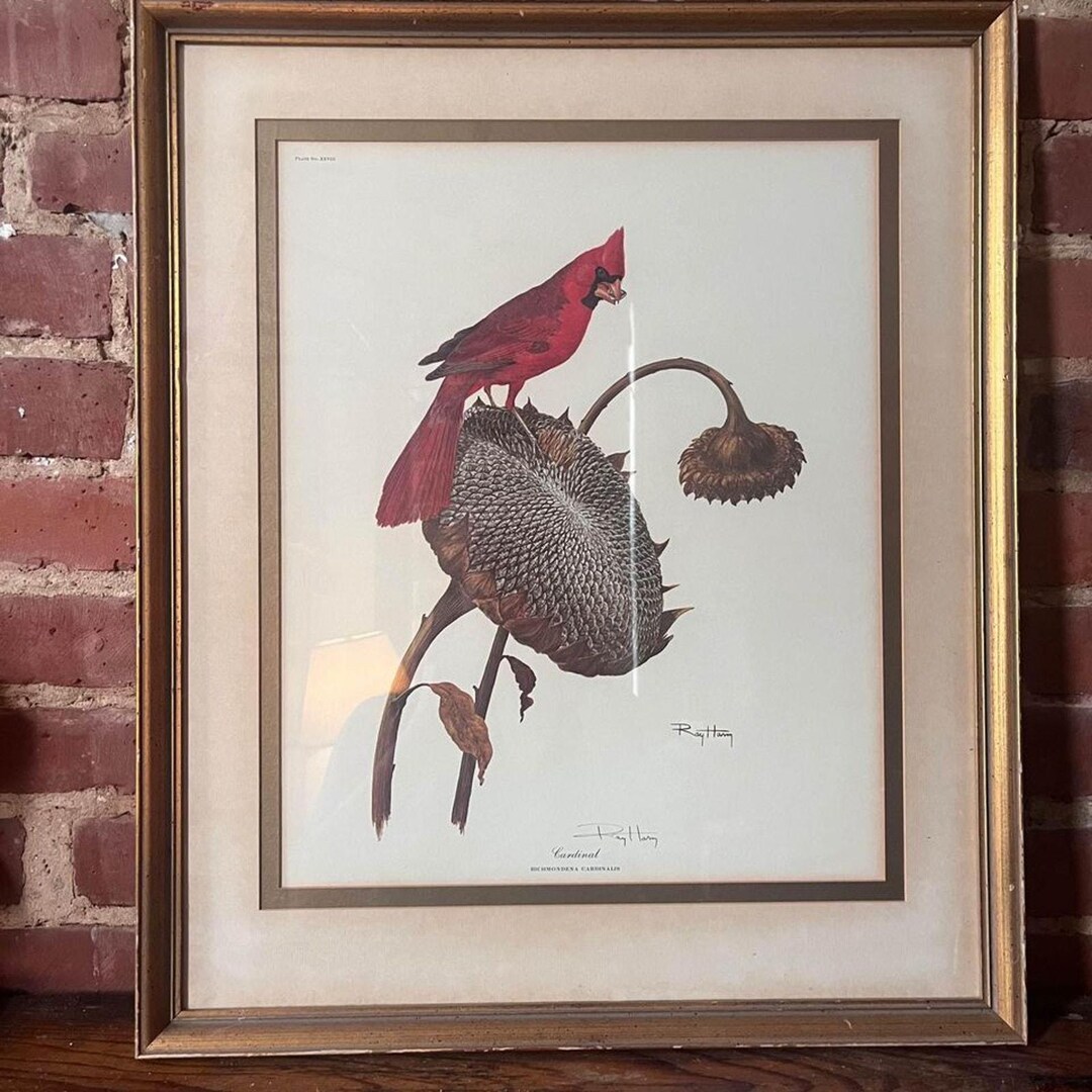 Vintage Ray Helm Framed Red Bird Cardinal Print - Etsy