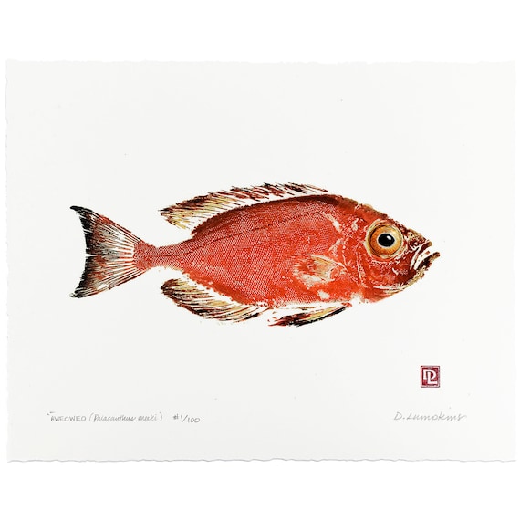 Fish Print Art Jenna Fish Print Artist (@printsbyjenna) · Norwell, MA