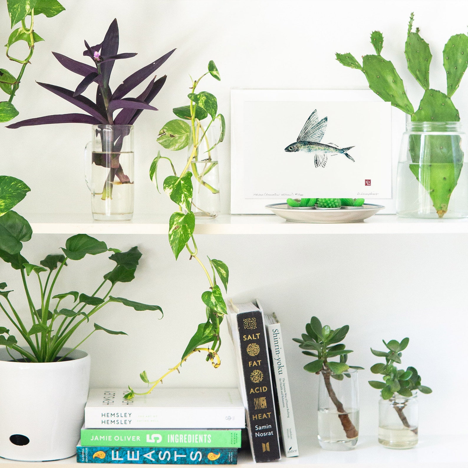 Gyotaku Fish Print - Malolo Flying Fish - Limited Edition Art by Maui ...