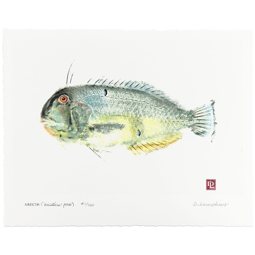 Gyotaku Fish Print Nabeta Wrasse Limited Edition Art by - Etsy