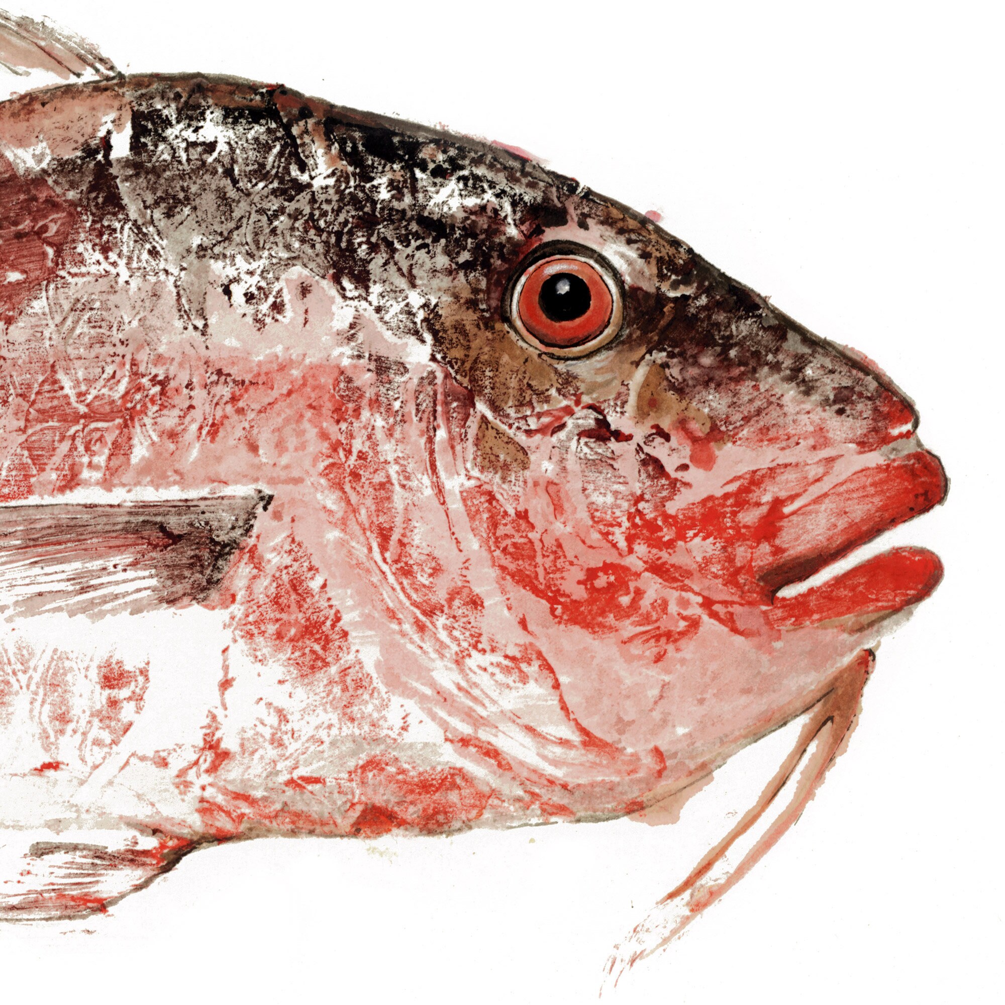 Gyotaku Fish Print Kumu Goatfish Limited Edition Art by Maui Artist ...