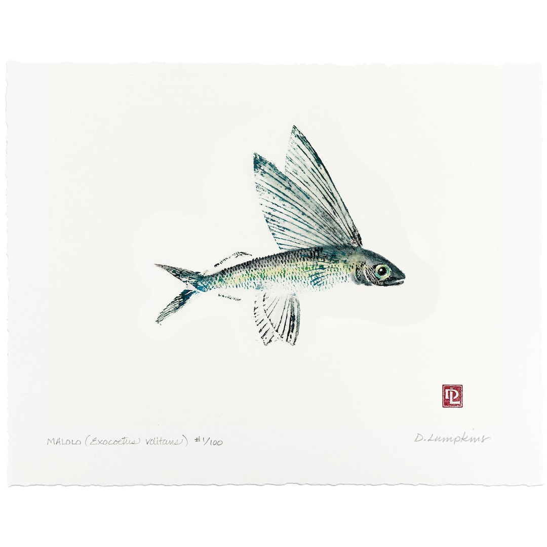 Gyotaku Fish Print - Malolo Flying Fish - Limited Edition Art by Maui ...